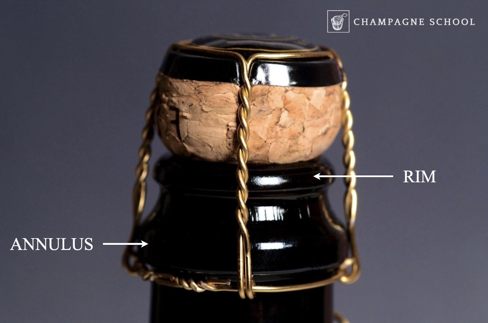 What Are the Parts Of Champagne Bottle?- 2025 History