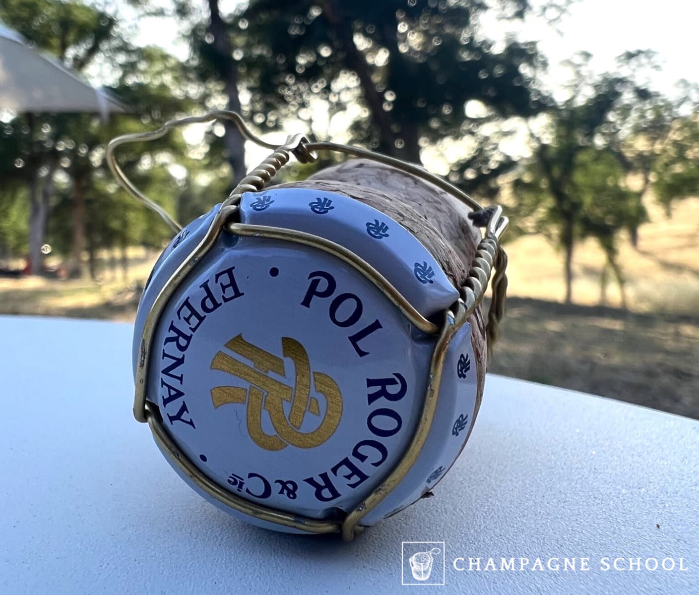 What Are the Parts Of Champagne Bottle?- 2025 History