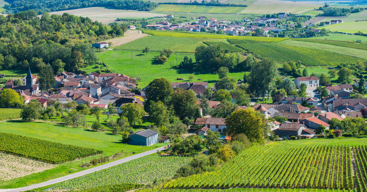 Cote des Bar Overview - 2025