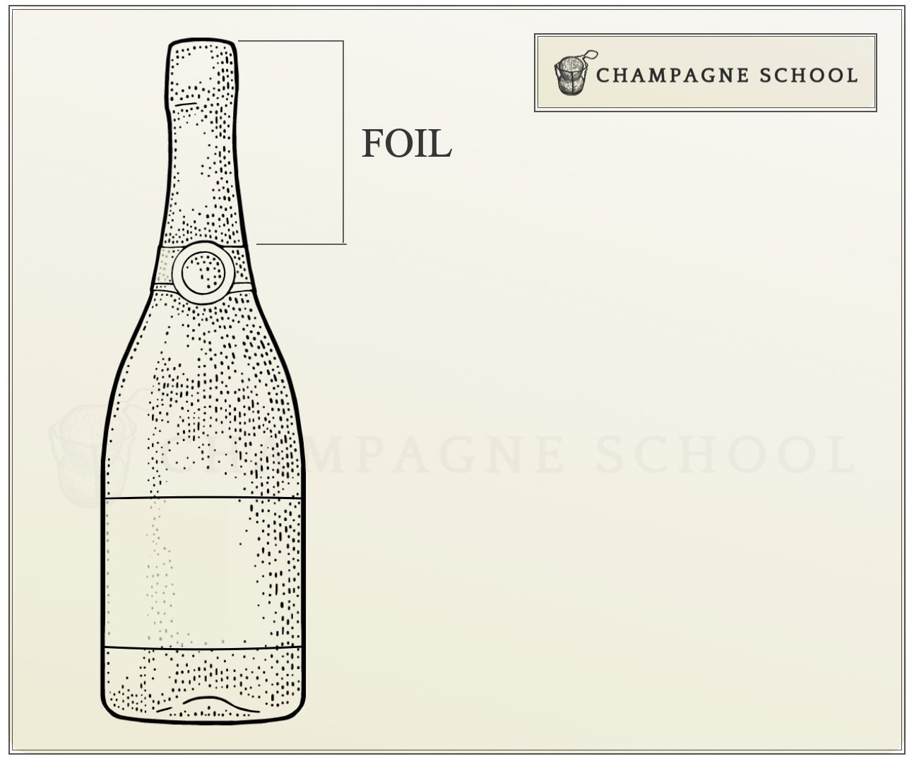 What Are the Parts Of Champagne Bottle?- 2026 History