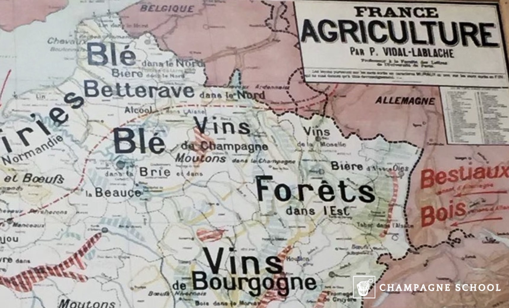 Exploring the Regions of Champagne - Champagne School
