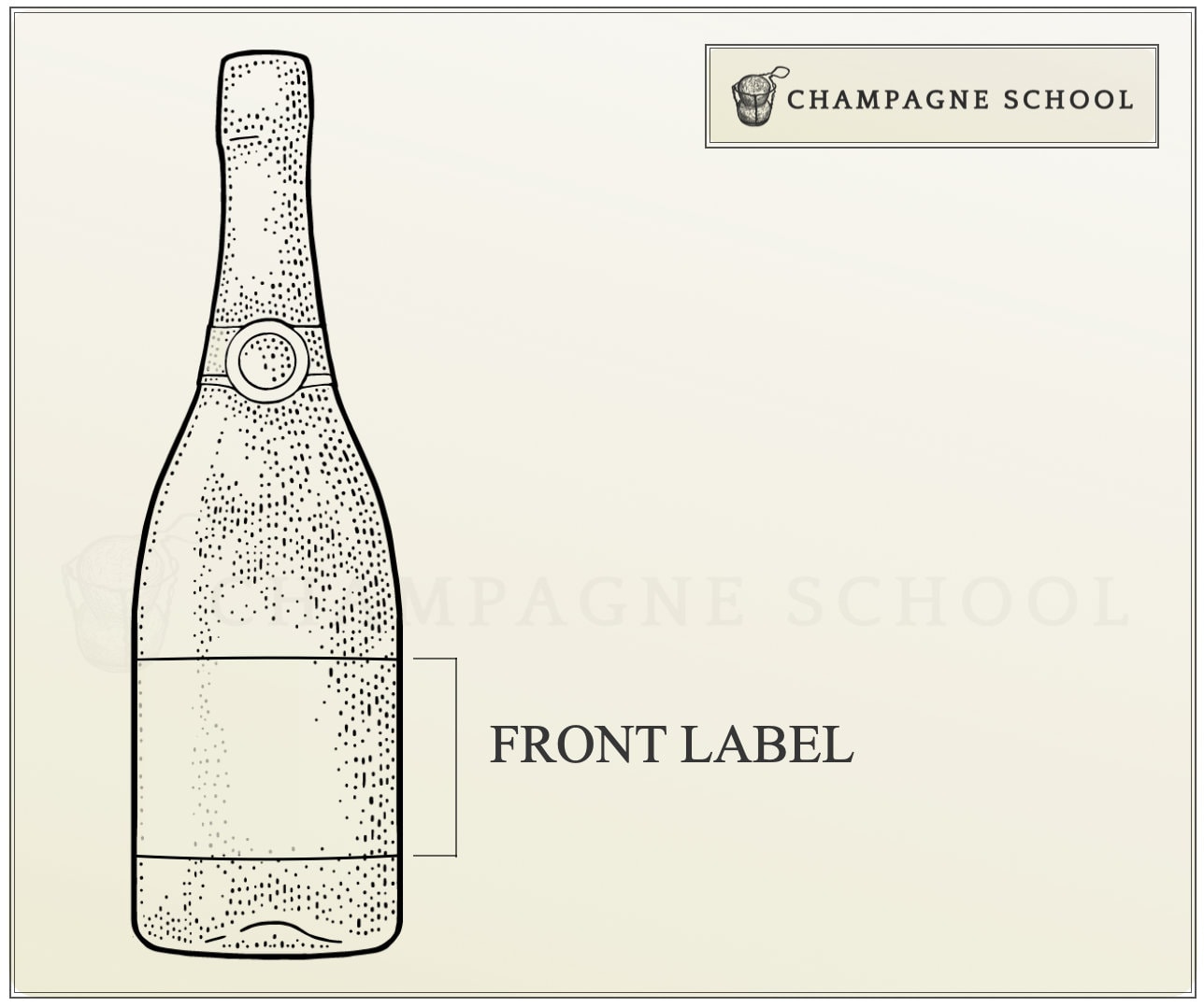 What Are the Parts Of Champagne Bottle?- 2026 History