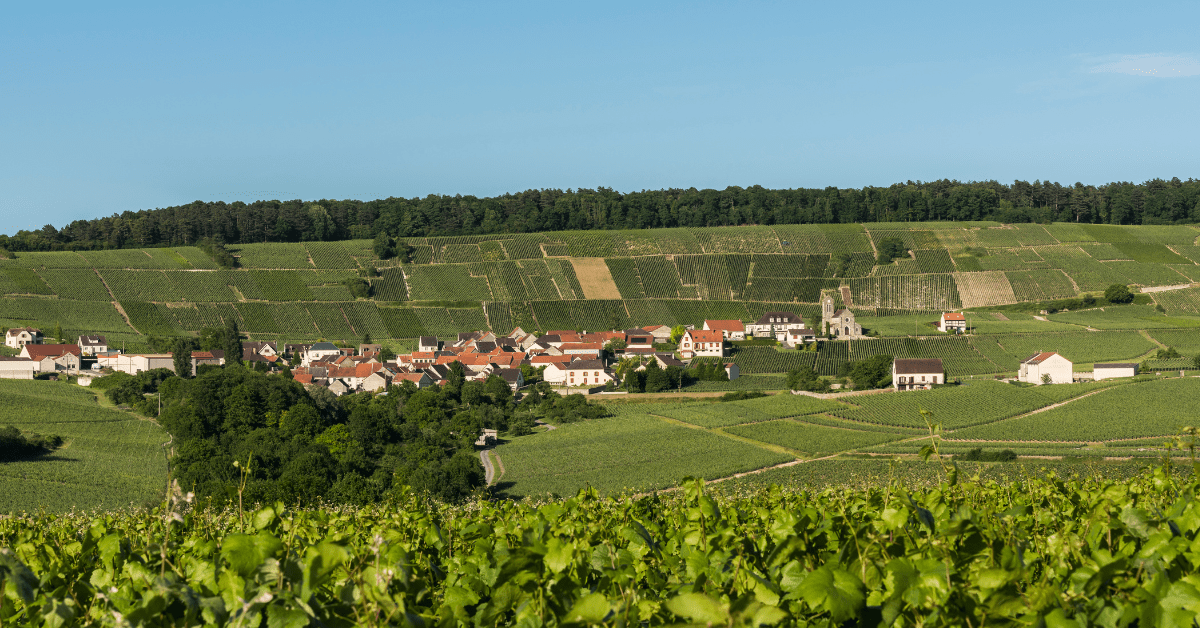 Vallée de la Marne Region Overview - 2025