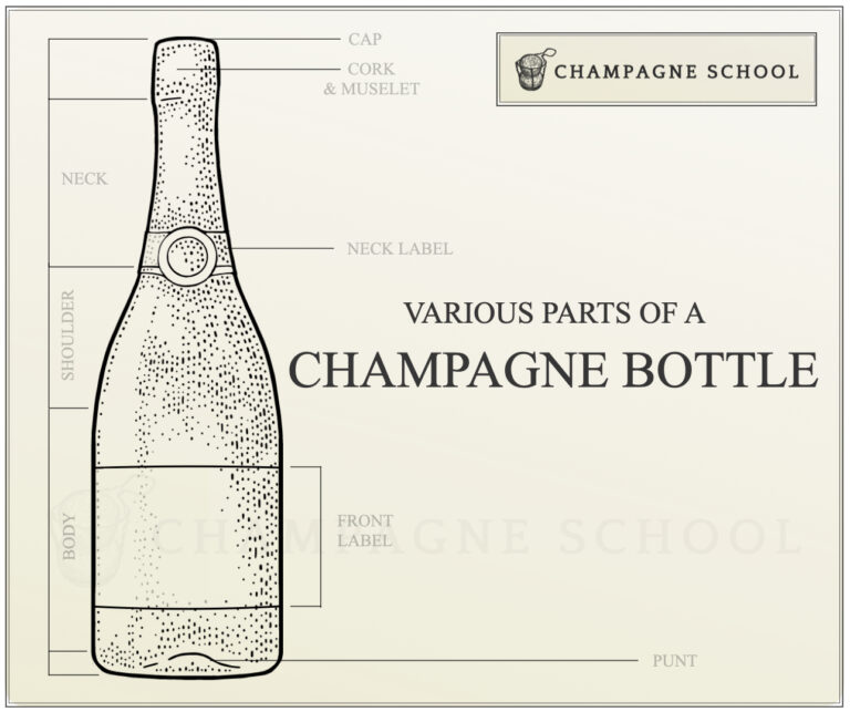 What Are the Parts Of Champagne Bottle?- 2026 History