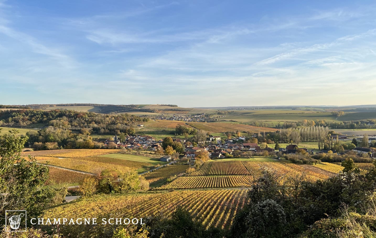 How is Champagne Made (in 15 Clear Steps) - Champagne School
